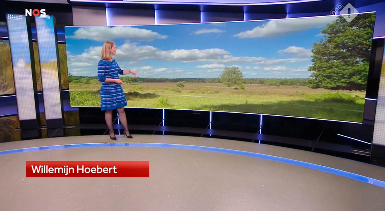 Willemijn Hoebert 20220620 202512 (3) — Postimages