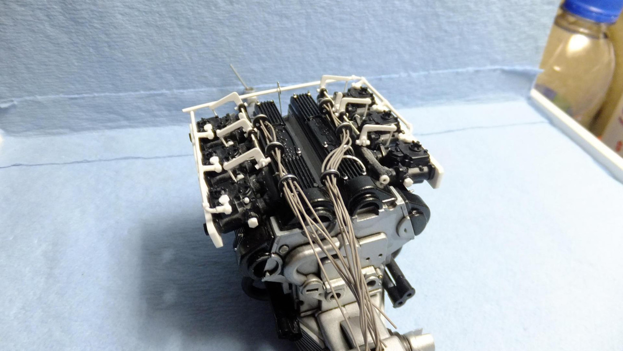 DSCF9029 thumb JPG f9e676133f8bfbef29eaa8e5da824202 — Postimages