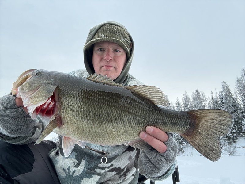 IMG 0526 — Postimages