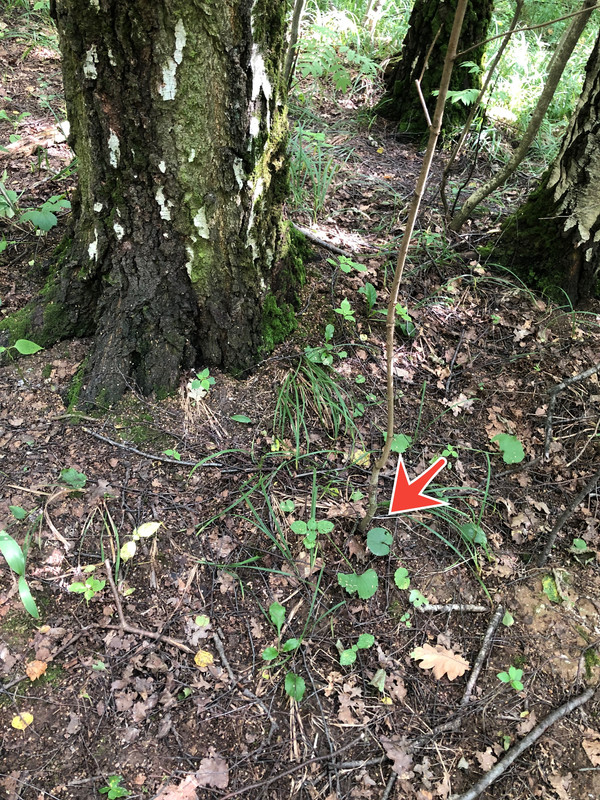 C7 C51 B65 05 CD 4695 A7 F0 C5 CAFC86 E21 E — Postimages