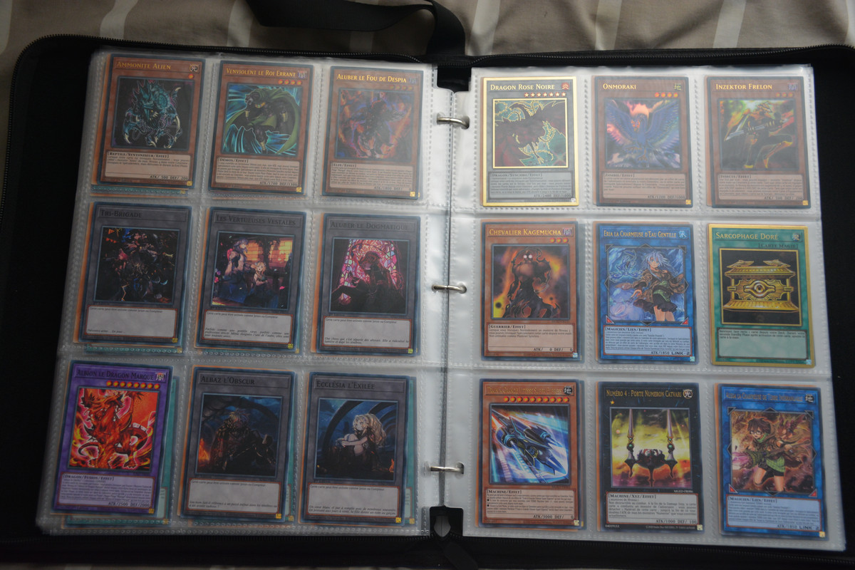 DSC 7505 — Postimages