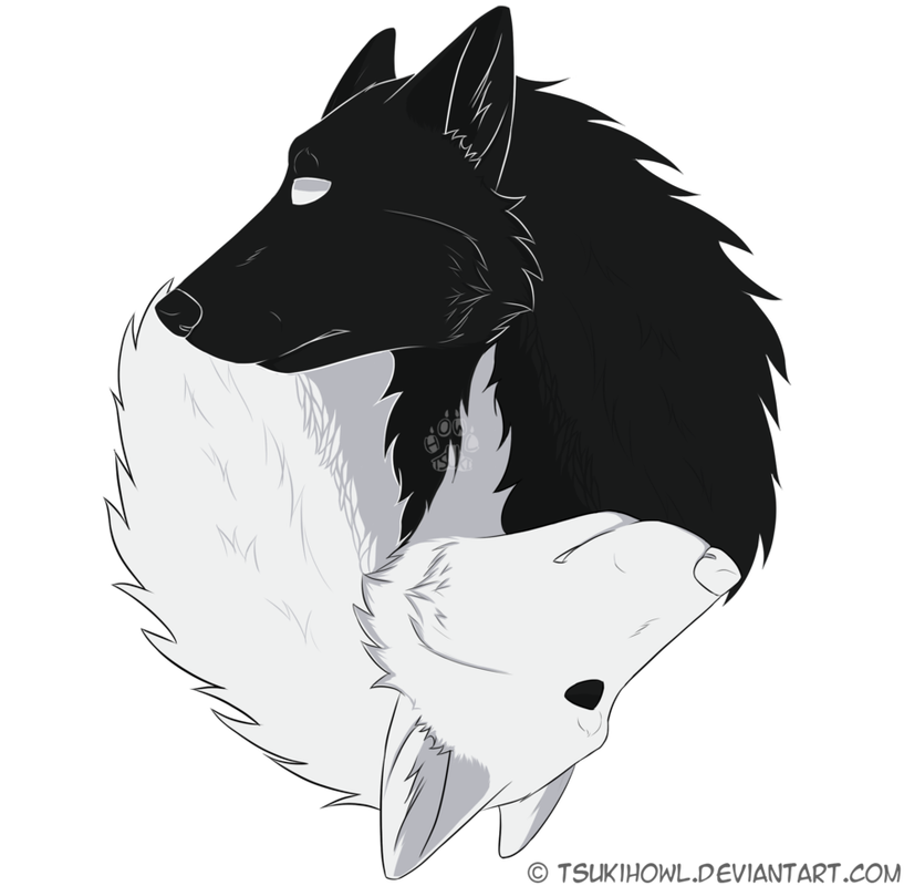 Wolf yin yang — Postimages
