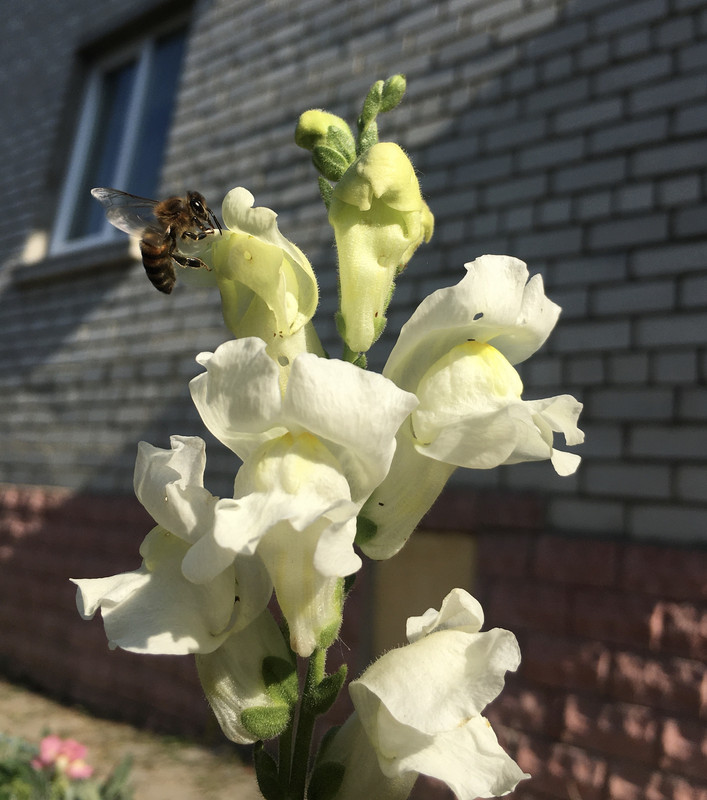 BD750826 446 C 40 FF 9 D1 E 6460654750 F9 — Postimages