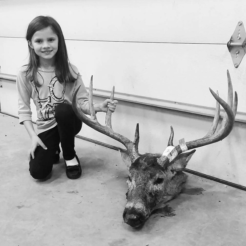 big buck — Postimages