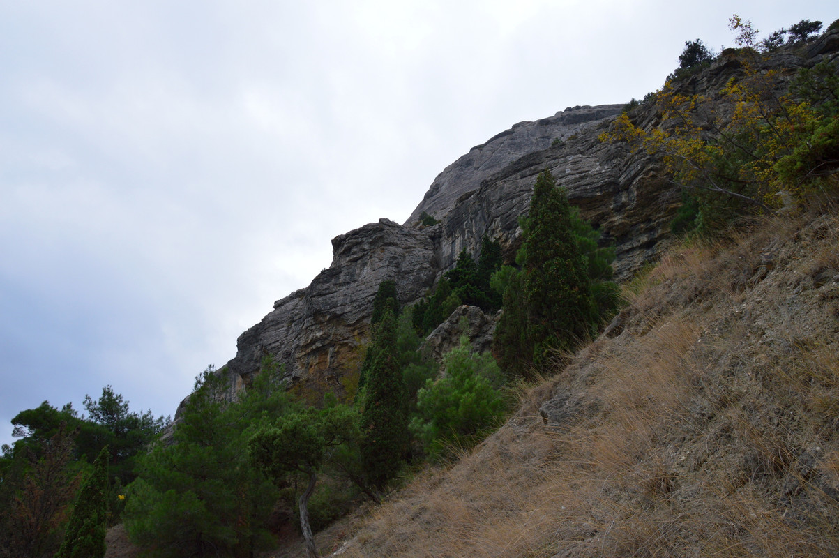 DSC 0030 — Postimages