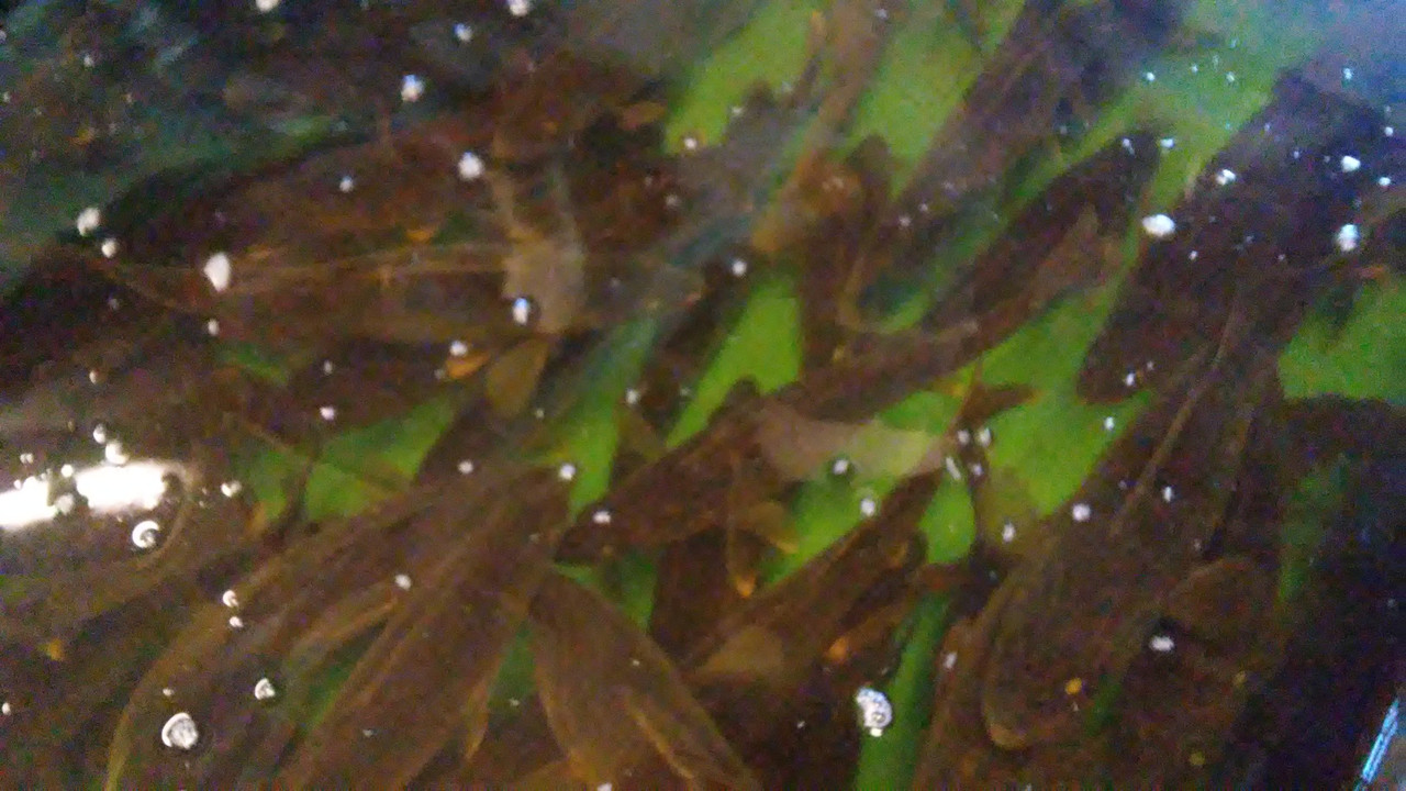 20220402 121125 — Postimages