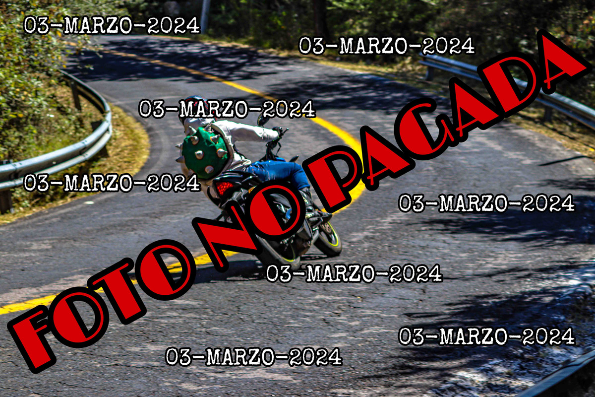 CA 1041 — Postimages