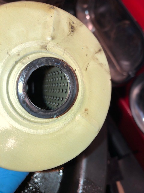 Yamaha marine fuel filter cut open | BobIsTheOilGuy