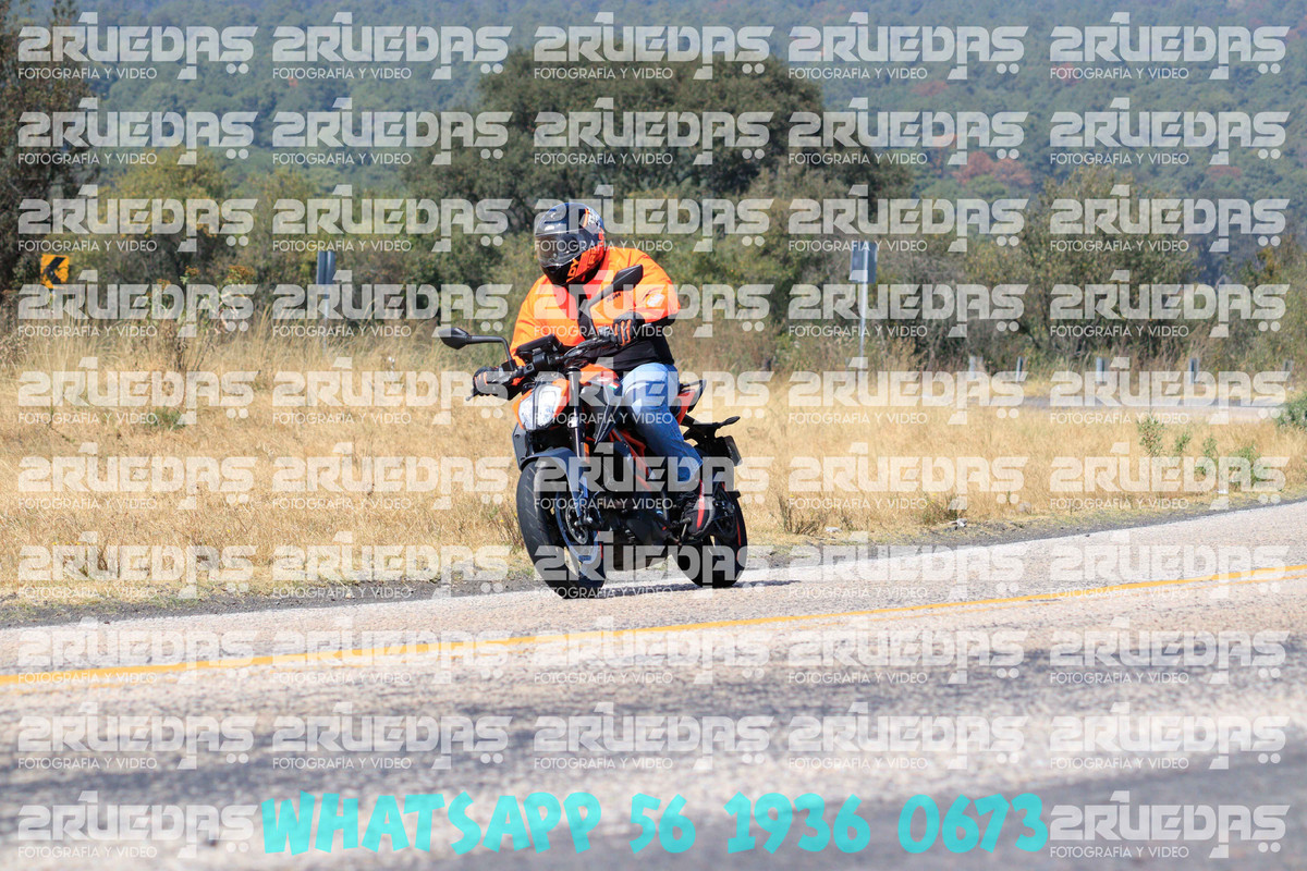 MG 1019 — Postimages