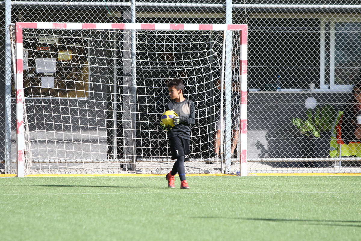 VIK 0233 — Postimages