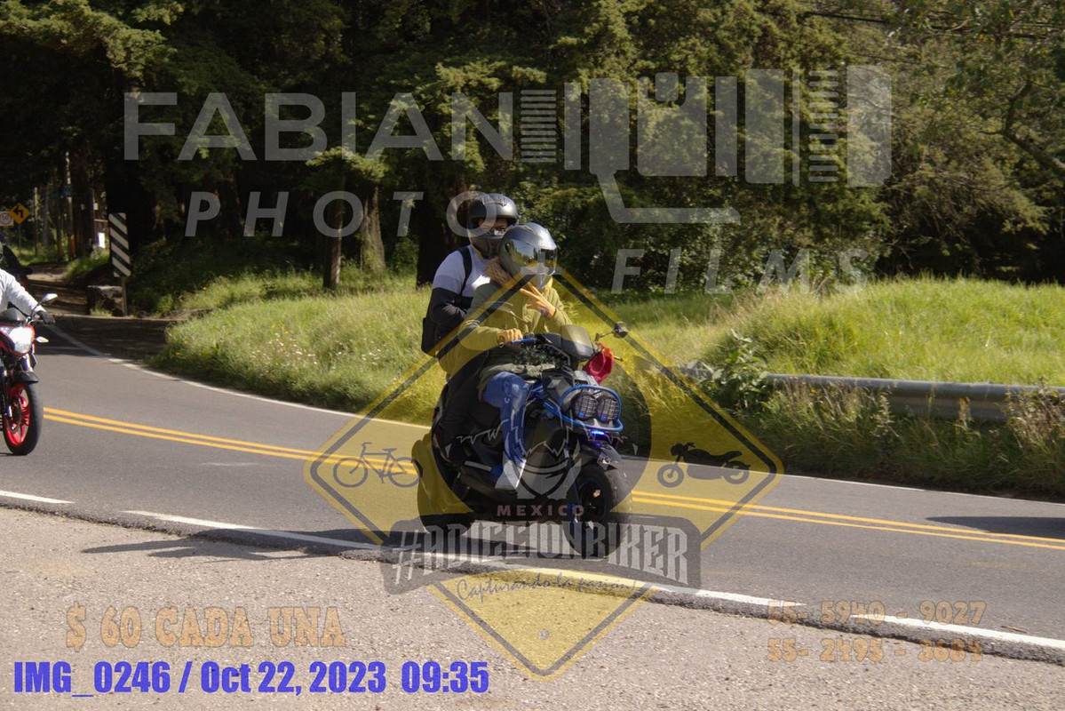 IMG 0246 — Postimages