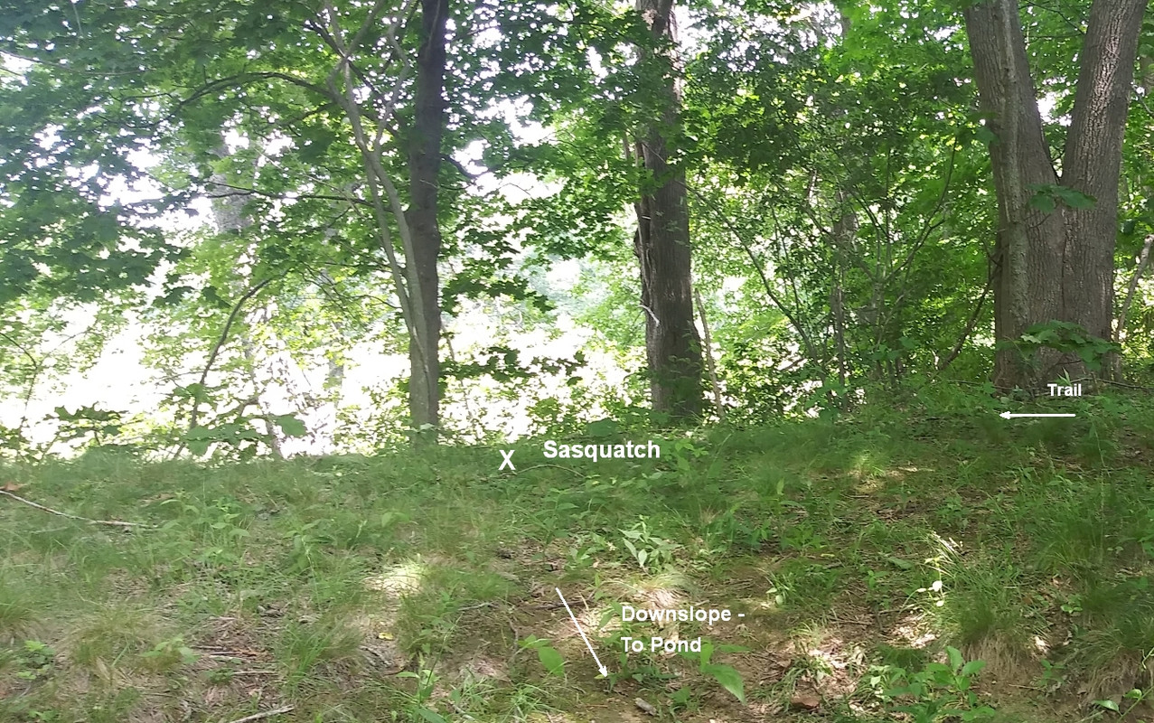 Clay Banks Pond Sasquatch Location1 B — Postimages