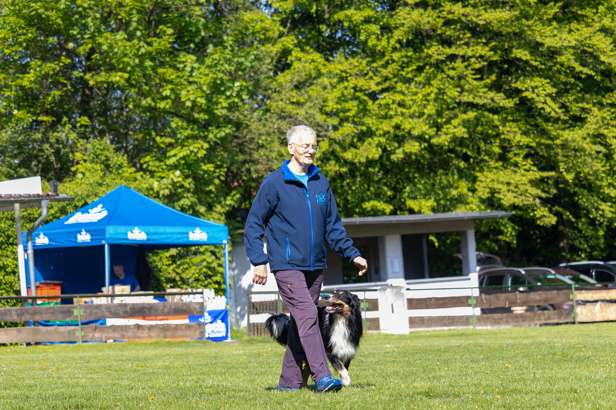 223A0011 — Postimages