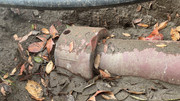 Sewer tree root issues. How to seal clay pipe. | DIY Home Improvement Forum