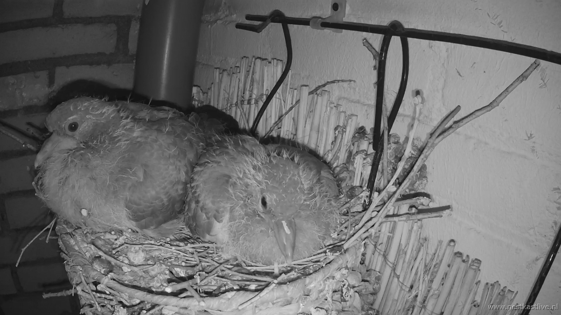 snapshot (74) — Postimages