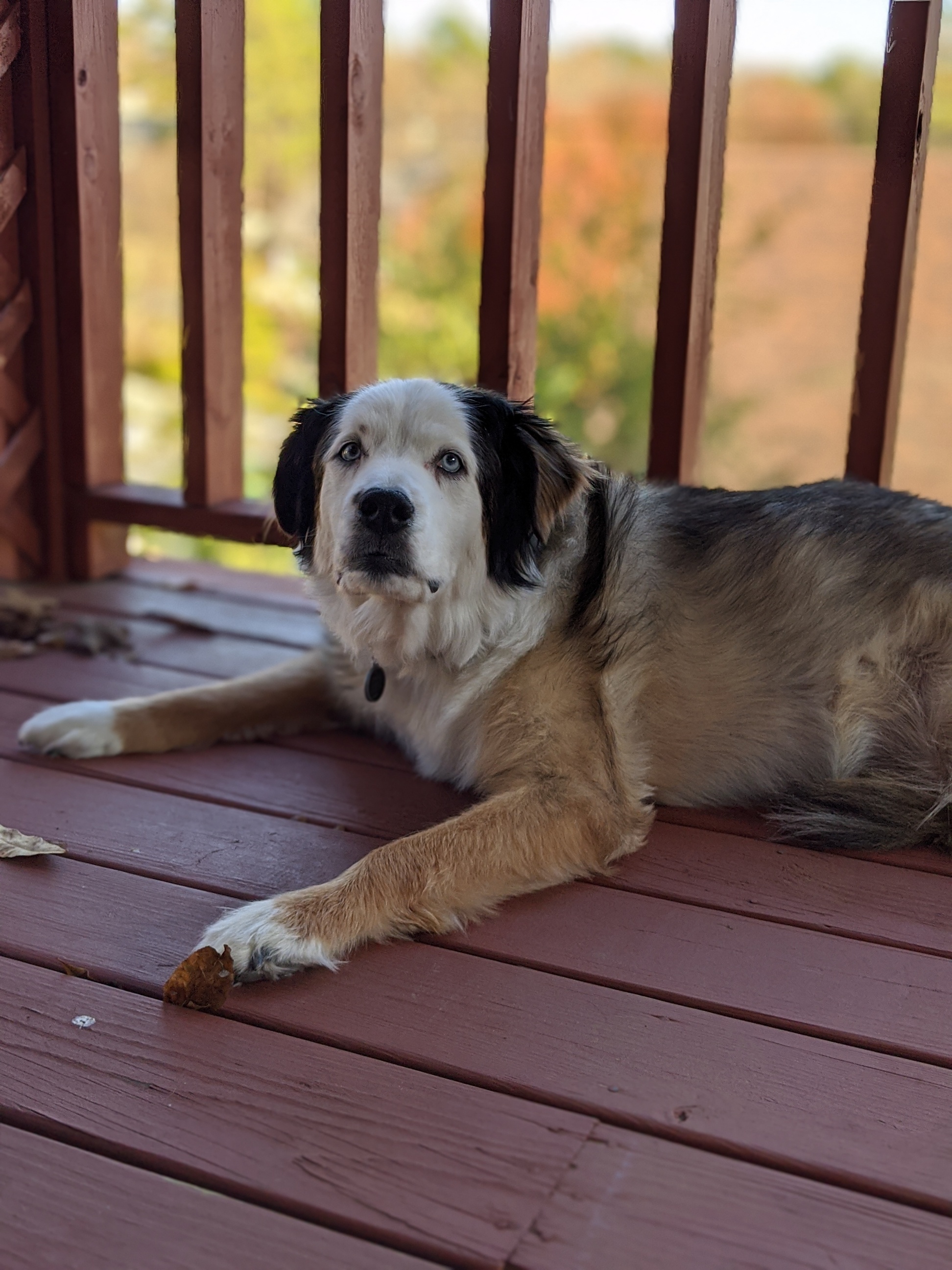 image000000 01 — Postimages