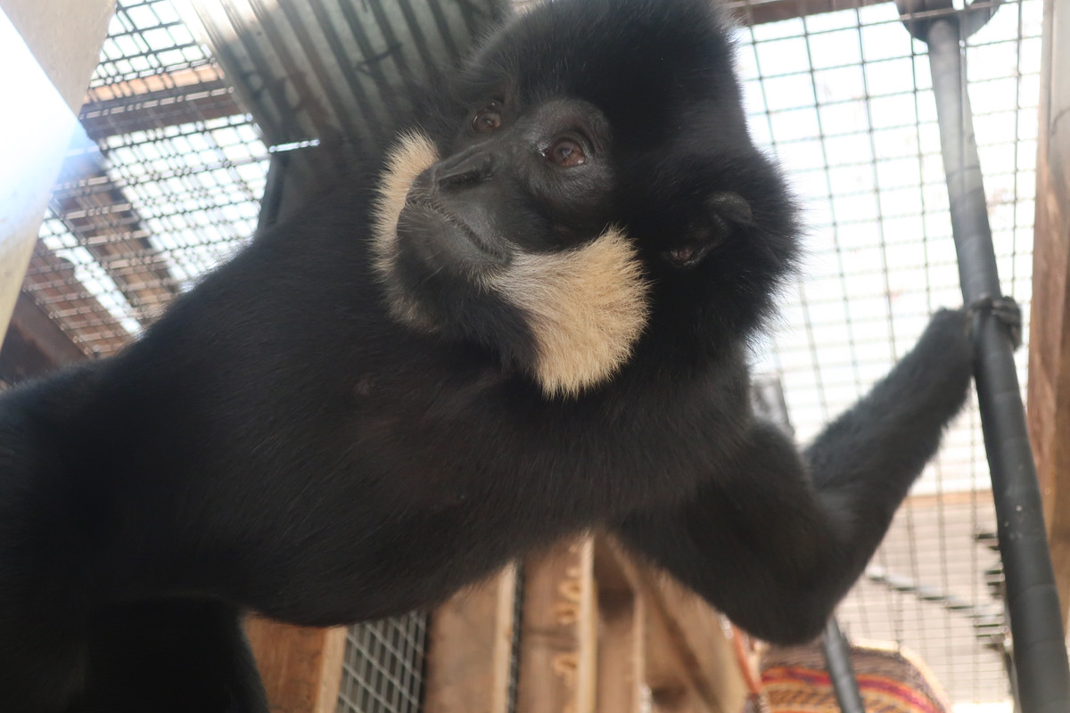 IMG 3474 — Postimages