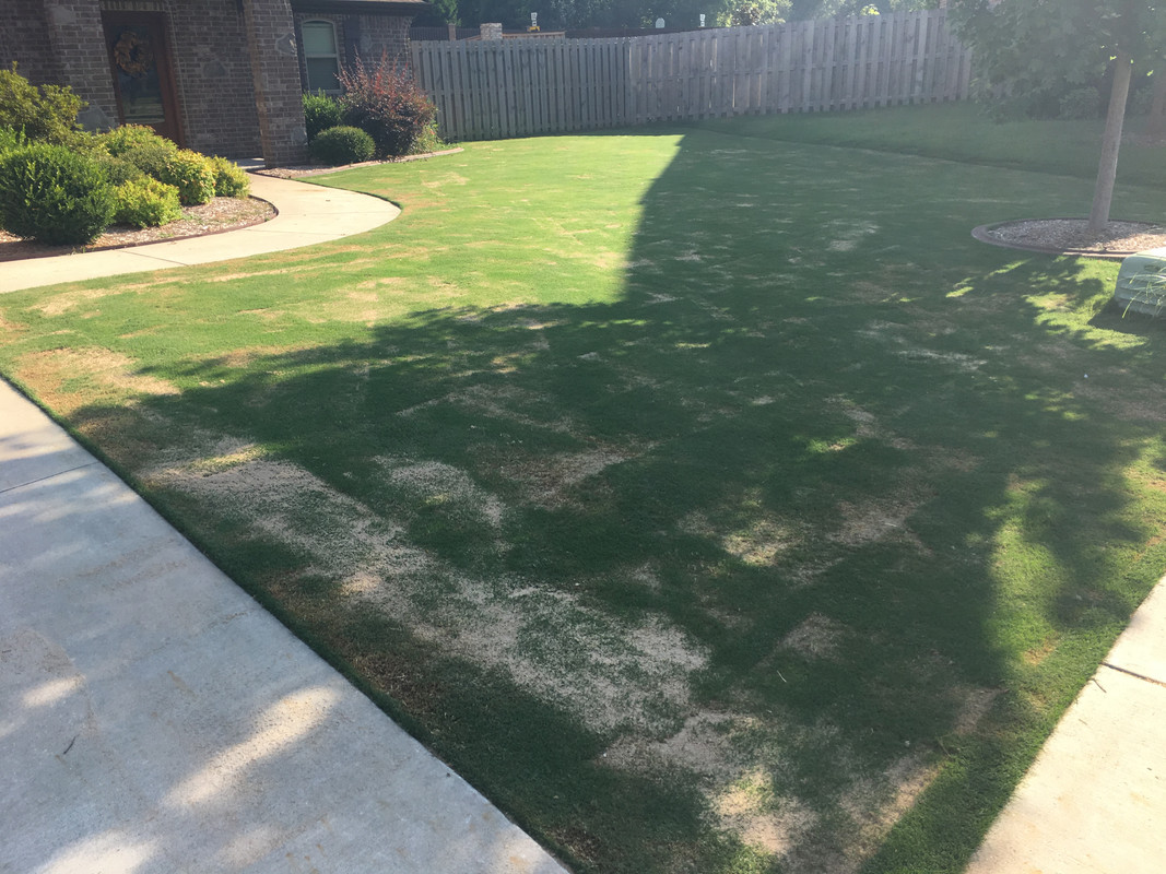 IMG 3430 — Postimages