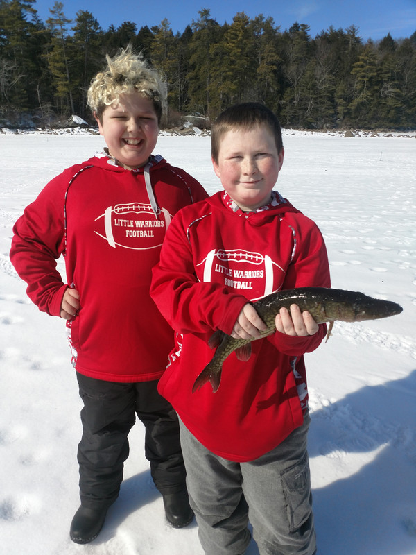 IMG 20200223 102225985 BURST000 COVER TOP — Postimages