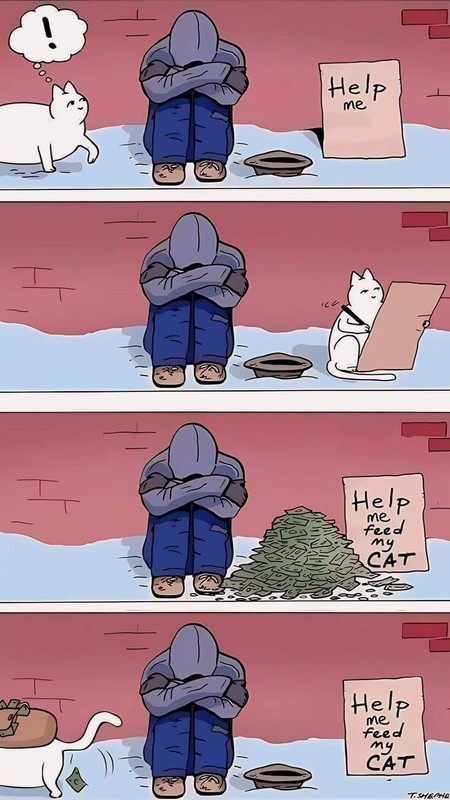 FB IMG 1720029107560 — Postimages