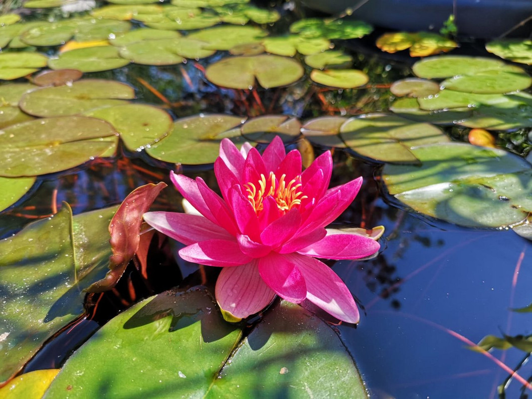 Img 20230721 Wa0003 Postimages