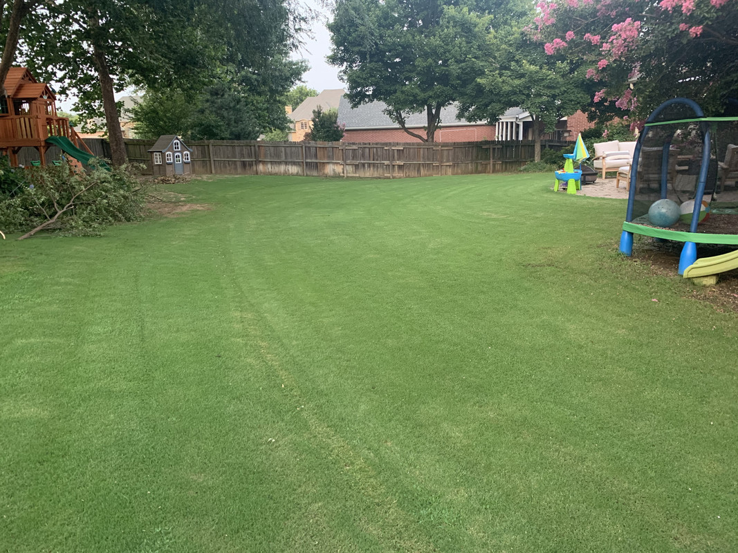 IMG 1978 — Postimages