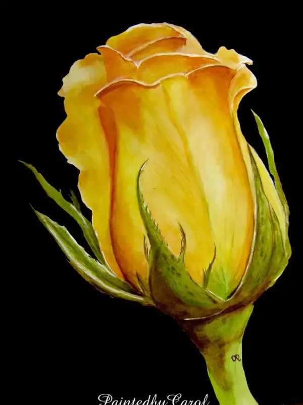 Neferkarmichael's Recovery Rose Page Pt 6 - Page 19 - SoberRecovery ...