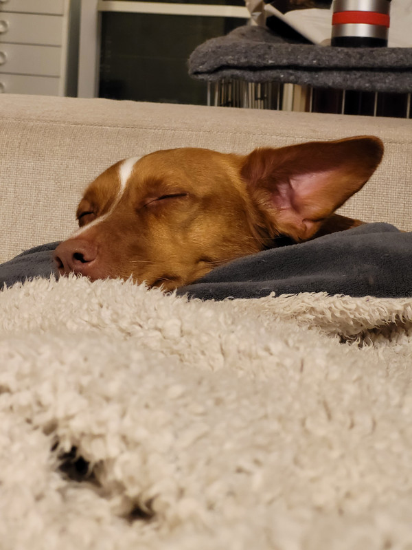 20220329 214943 — Postimages