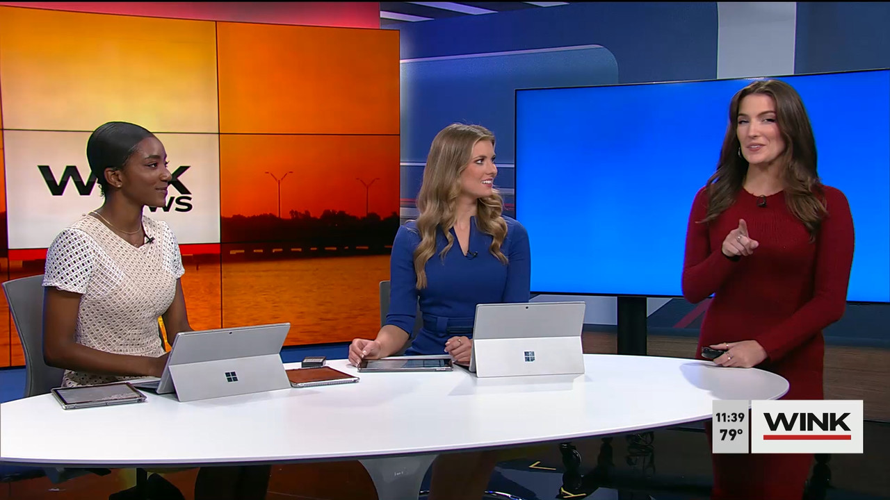 01 01 16 30 00 WINK NEWS at 11 30am ᴺᵉʷ Midday news ts snapshot 15 48 ...