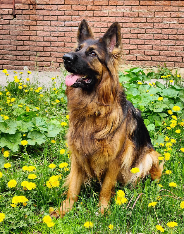 изображение viber 2023 05 08 13 07 35 657 — Postimages