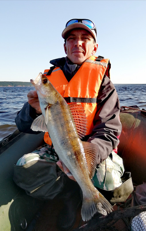 IMG 20220618 124641 — Postimages