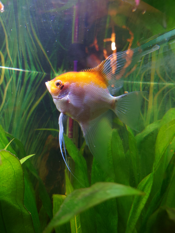 DSC 0481 — Postimages