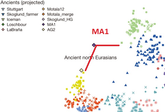 DNA of 'West Eurasian' people in 1 overview according to the studies of ...