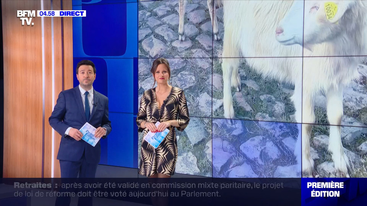 P EDITION 2023 03 16 03 25 00 ts snapshot 00 35 53 077 — Postimages