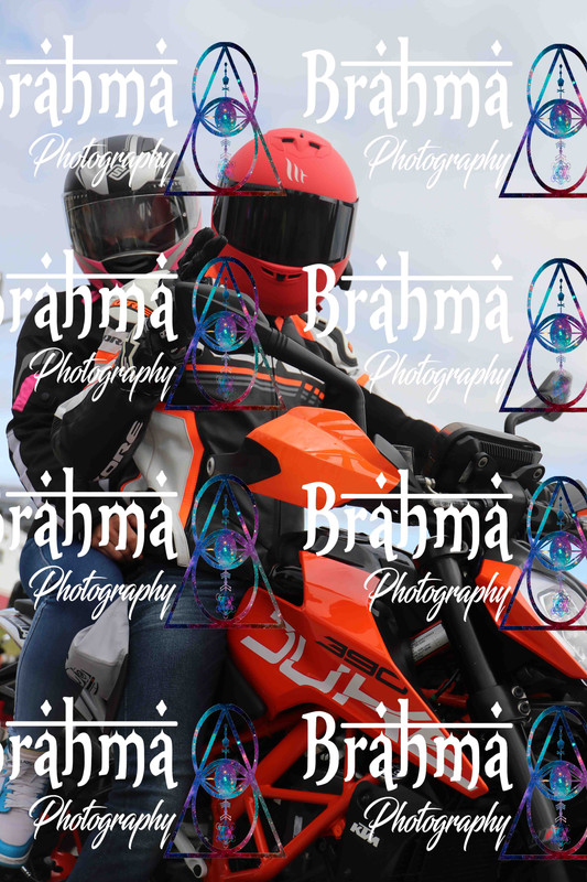 IMG 4206 — Postimages