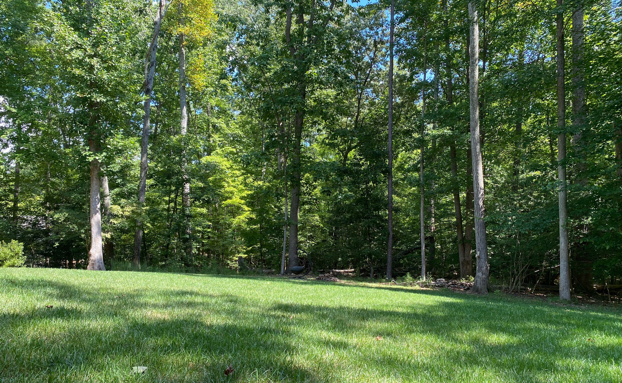 IMG 0717 — Postimages