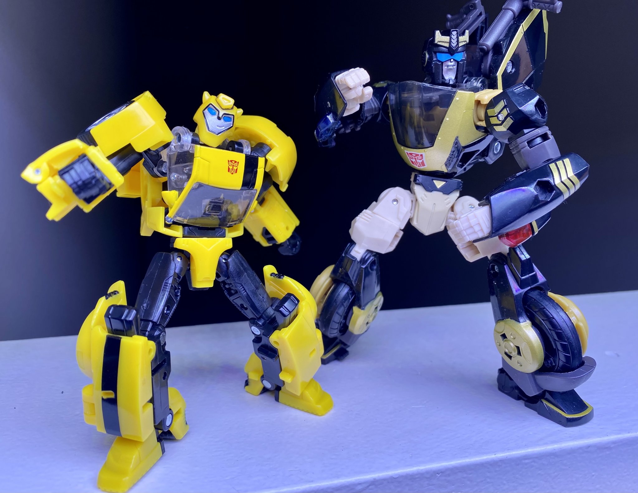 Legacy Animated Bumblebee In Hand Images 06 — Postimages