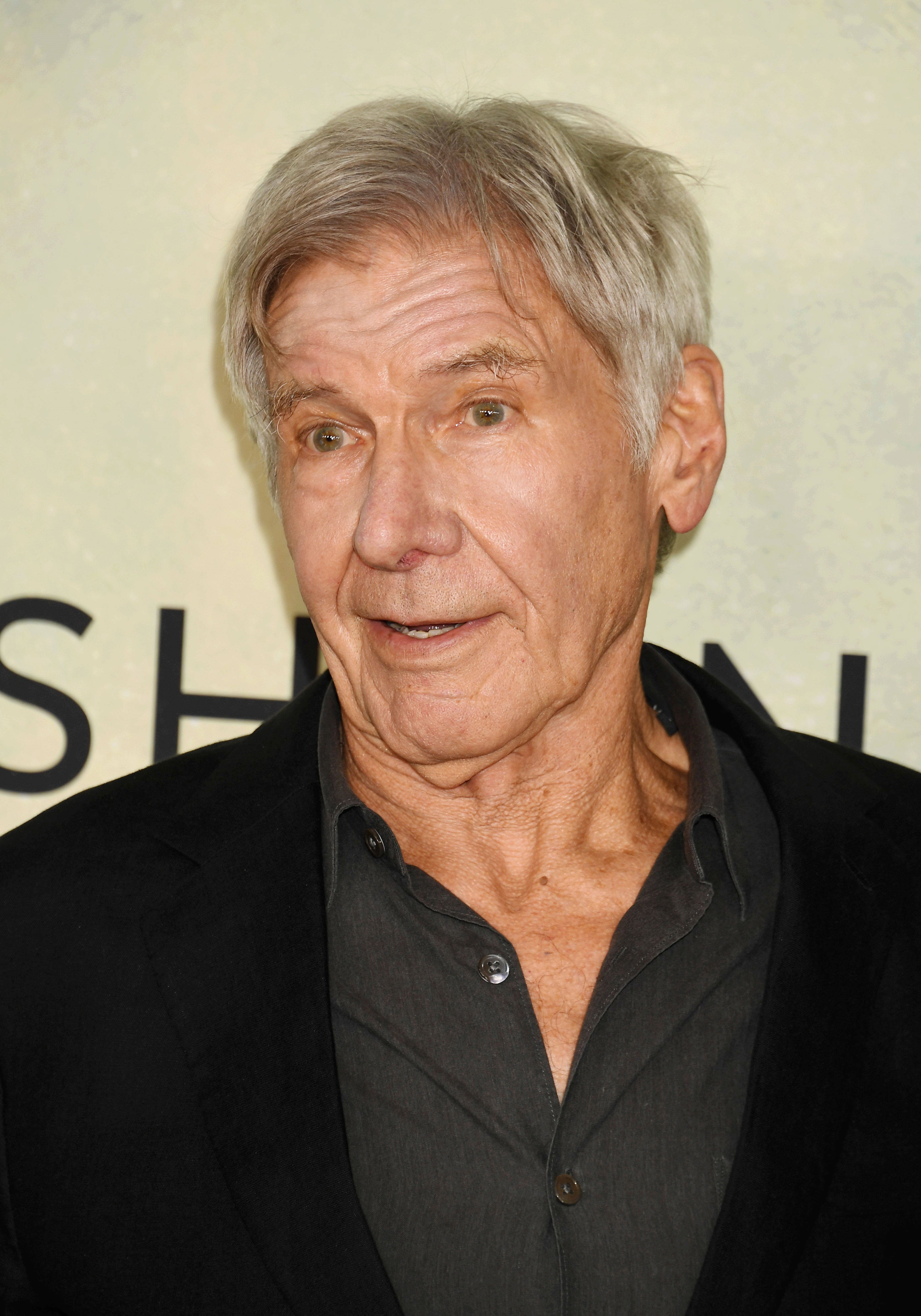 Harrison Ford 076 — Postimages
