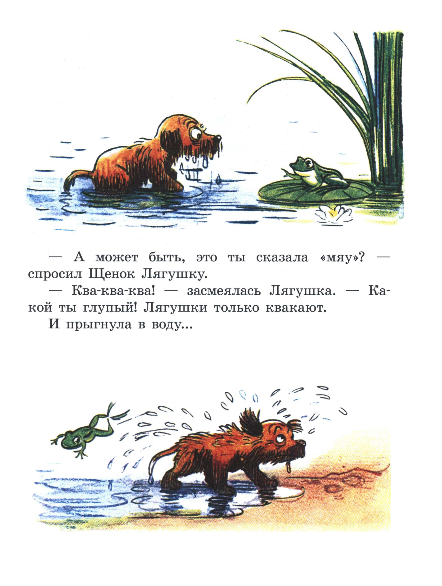 Sutejev Vladimir Skazki i kartinki 67 — Postimages