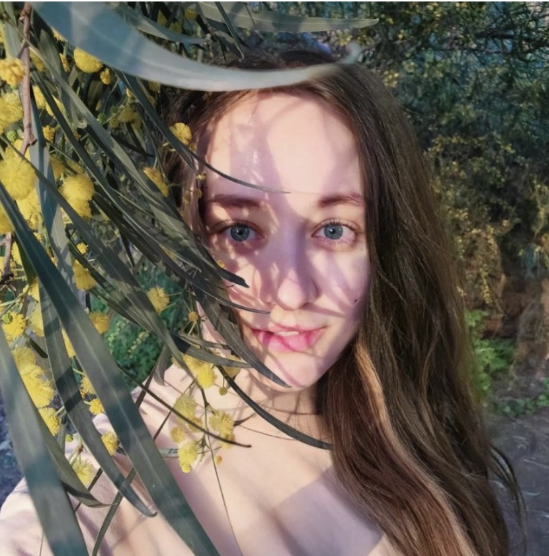 Untitled — Postimages