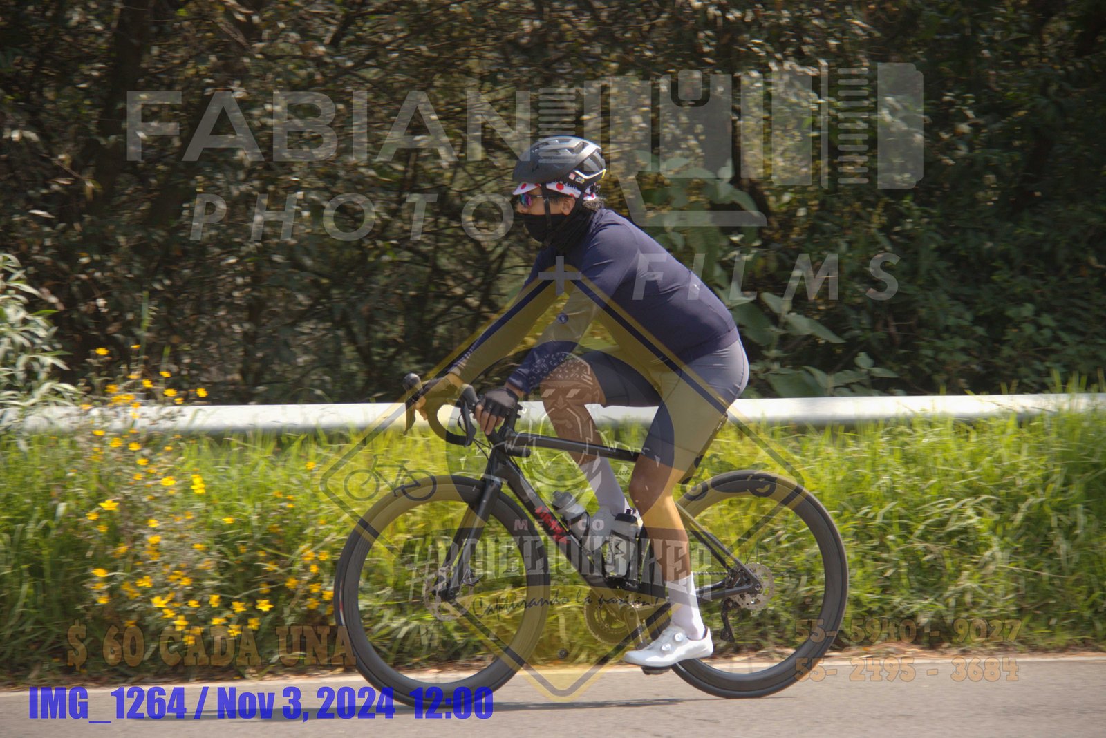 IMG 1264 — Postimages