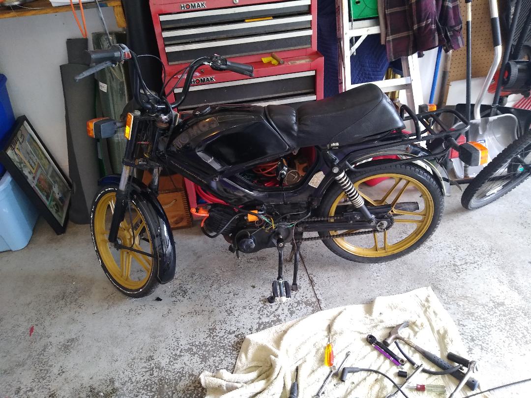 tomos — Postimages