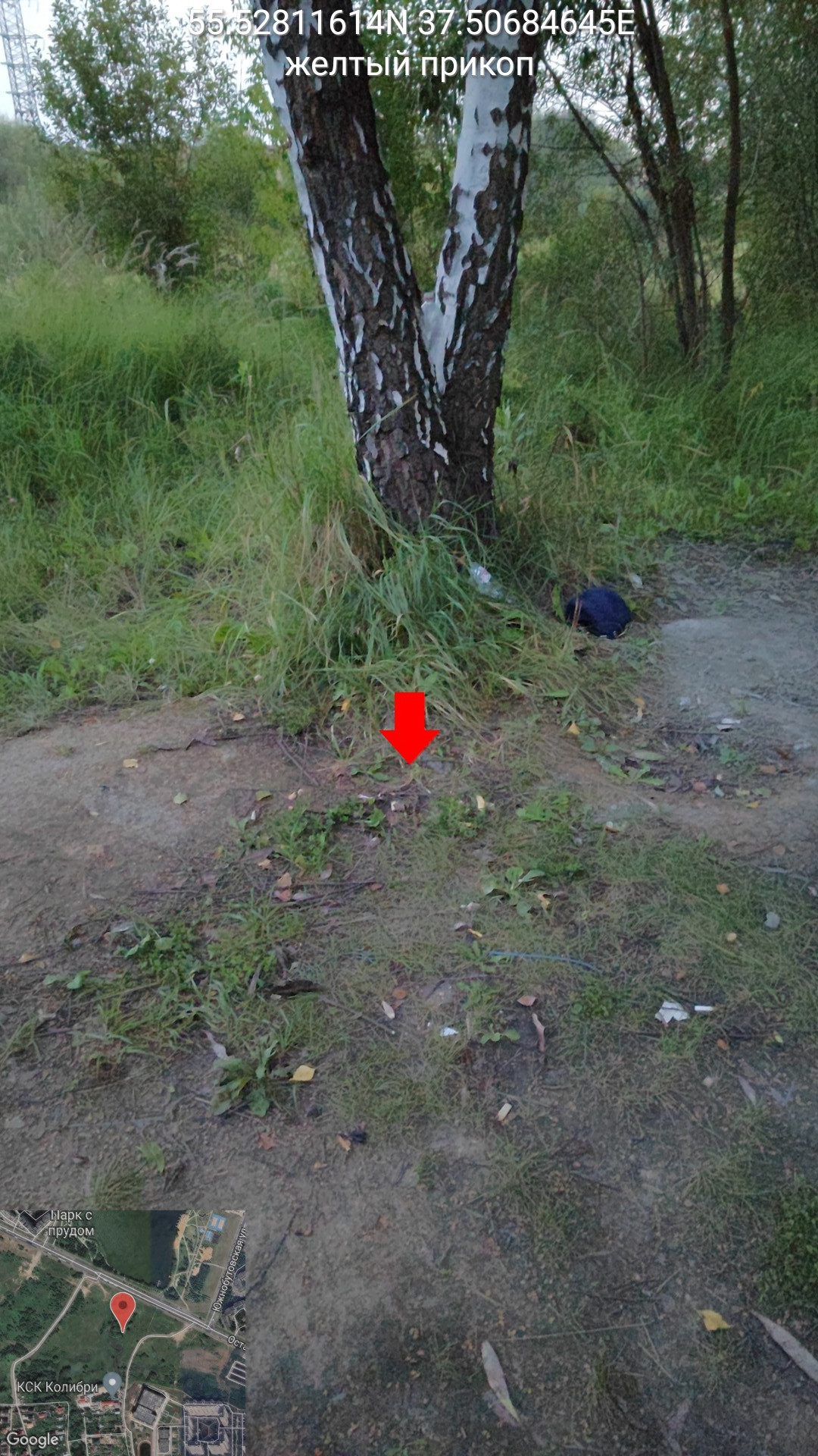 Time Photo 20230828 194339 — Postimages