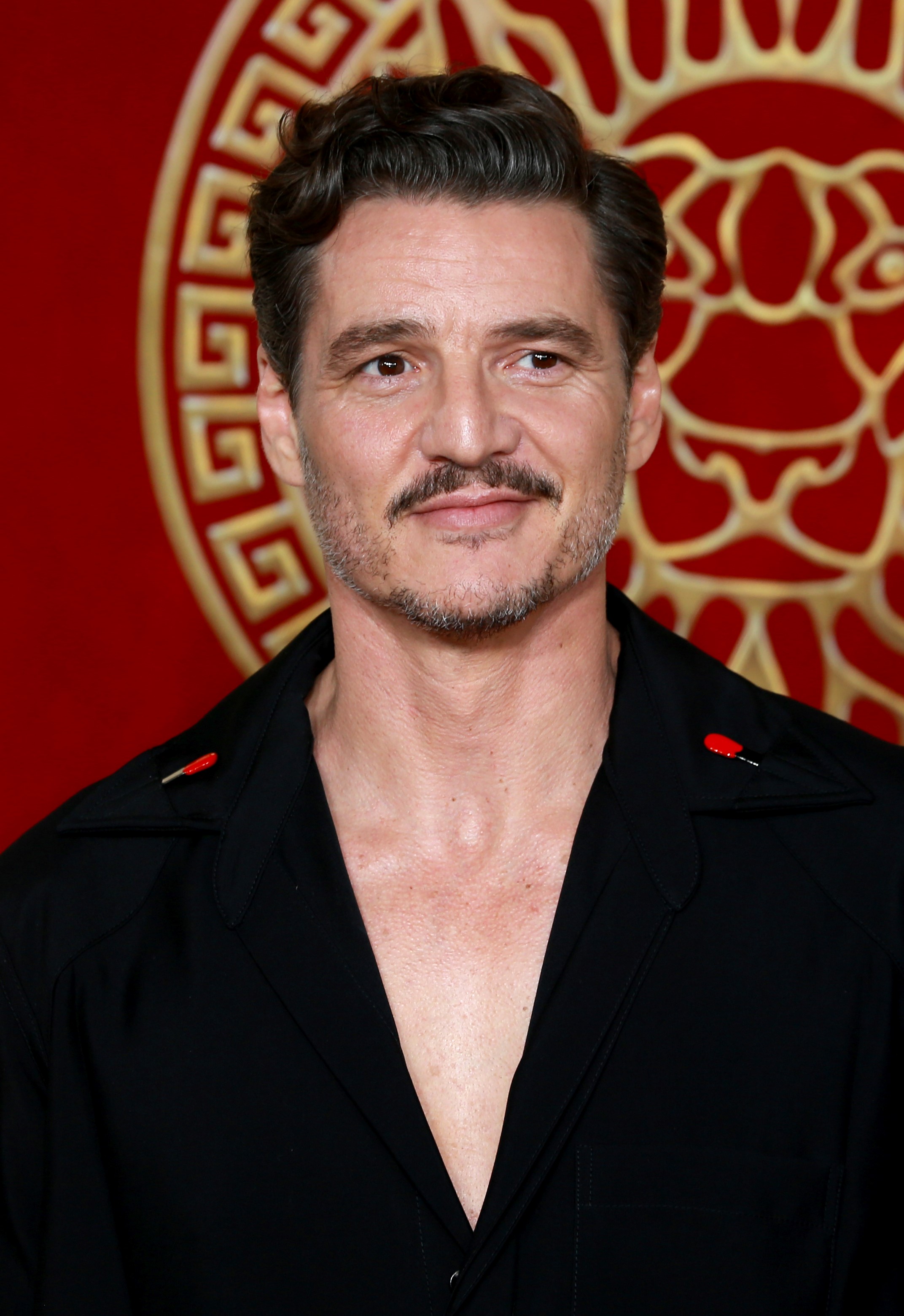 Pedro Pascal 047 — Postimages