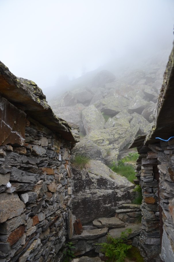 DSC 0222 — Postimages