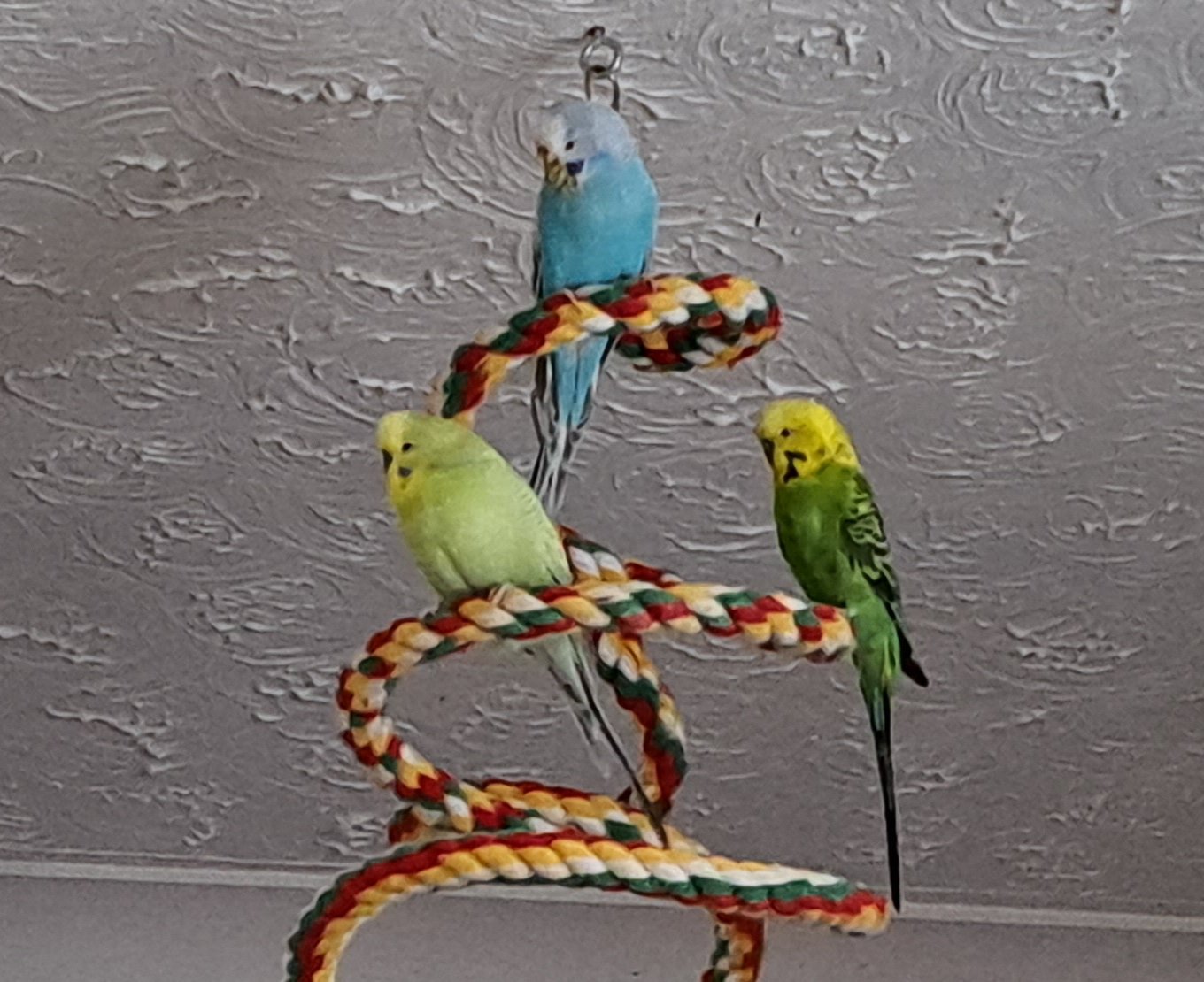 20230421 082028 — Postimages