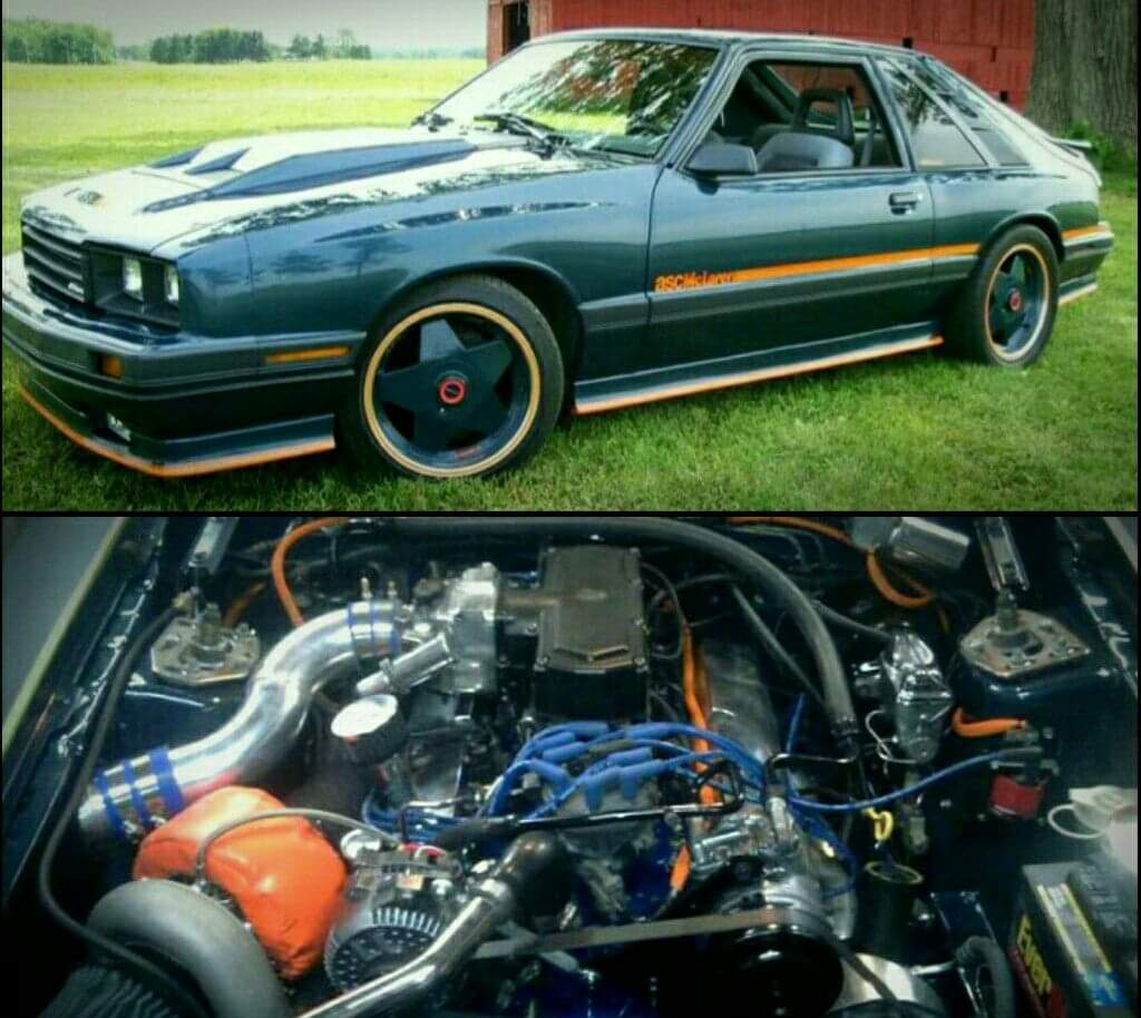 21543902 1445601198859140 8639939699816211027 o — Postimages