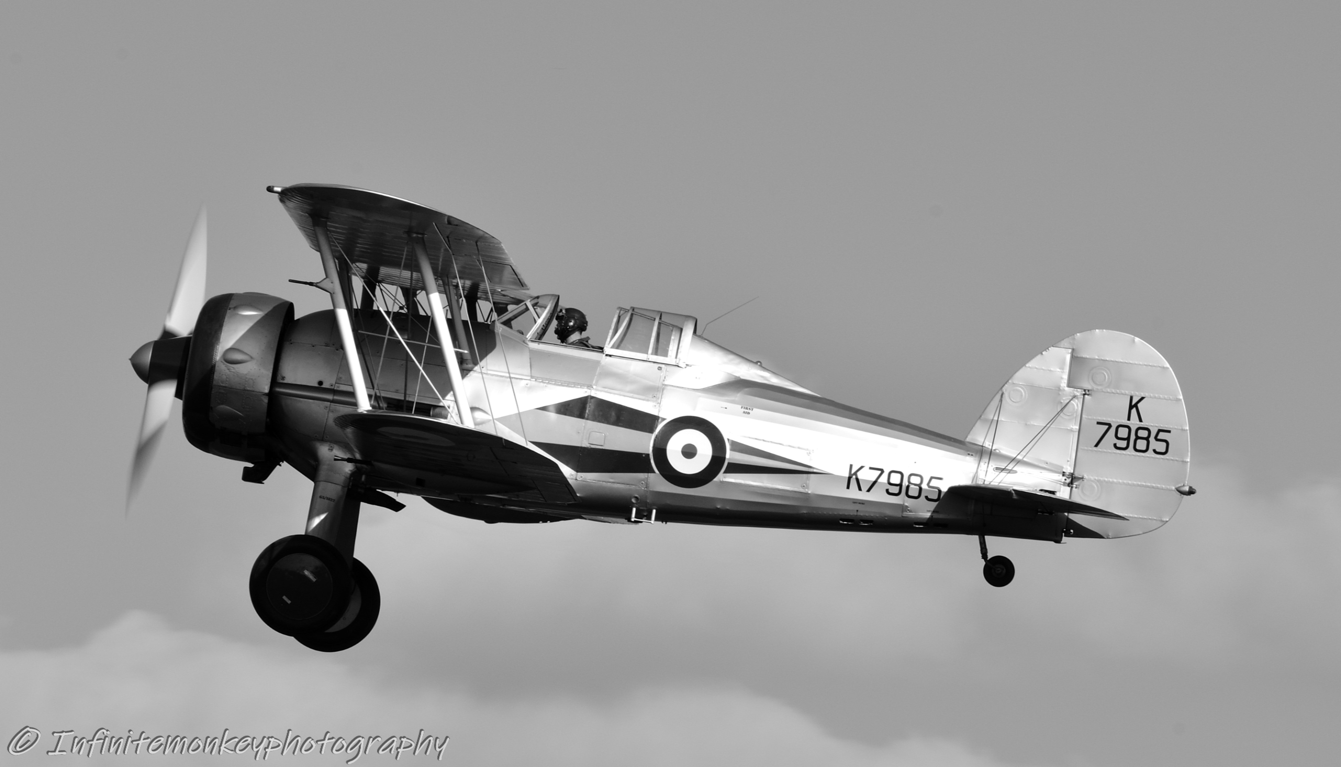 DSC 3093 261 — Postimages