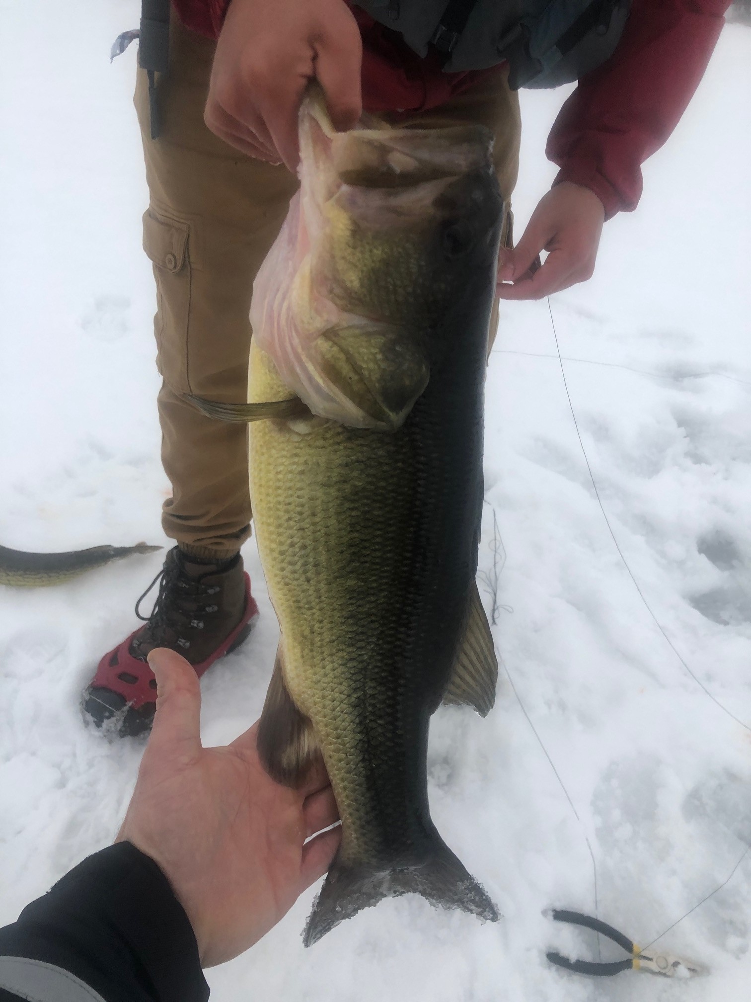 image2 (1) — Postimages