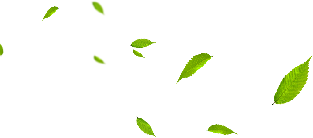 Leaves — Postimages